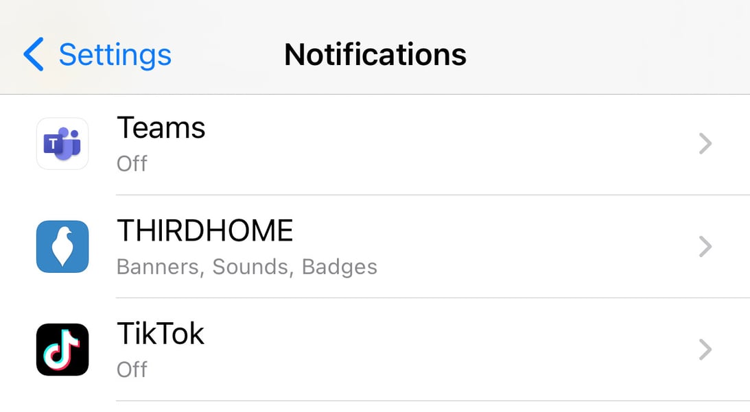 ThirdHome iOS App Notifications